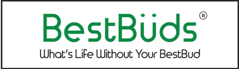 Woodbury New Jersey Adult-Use Cannabis Dispensary | BestBüds Dispensary
